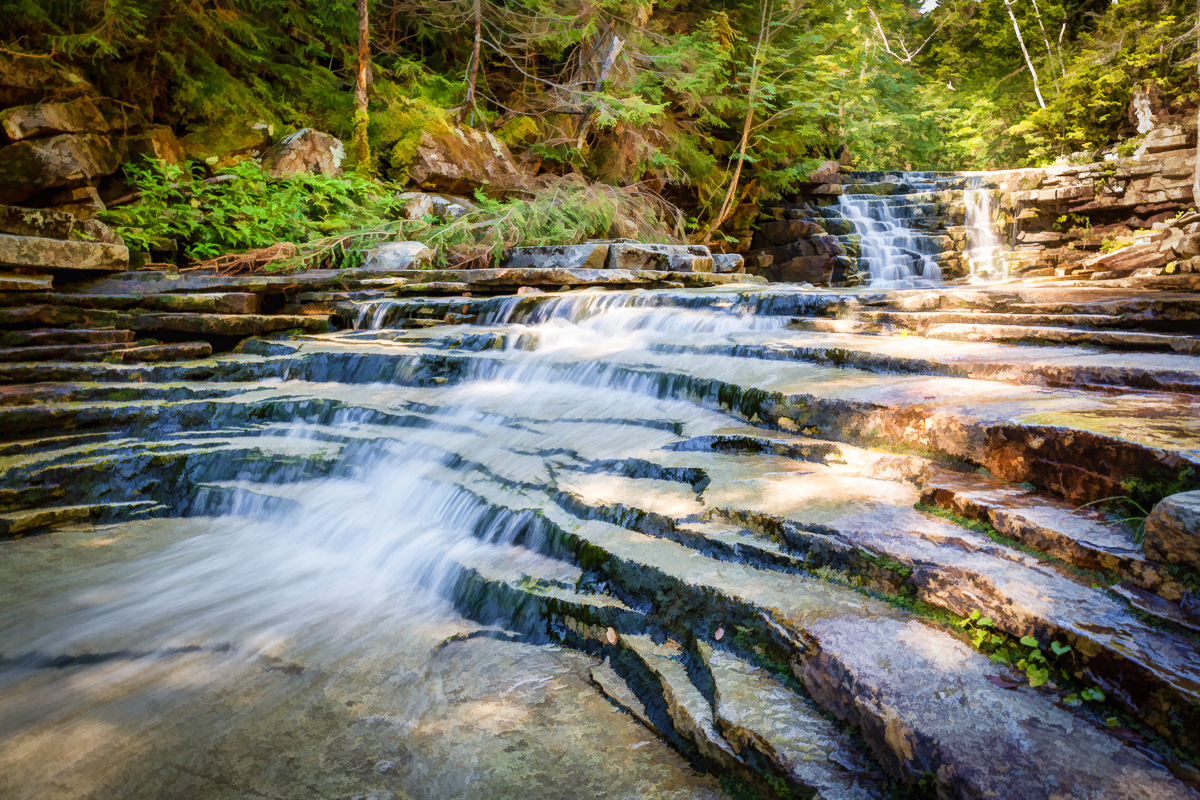 Dave Thompsen Photography